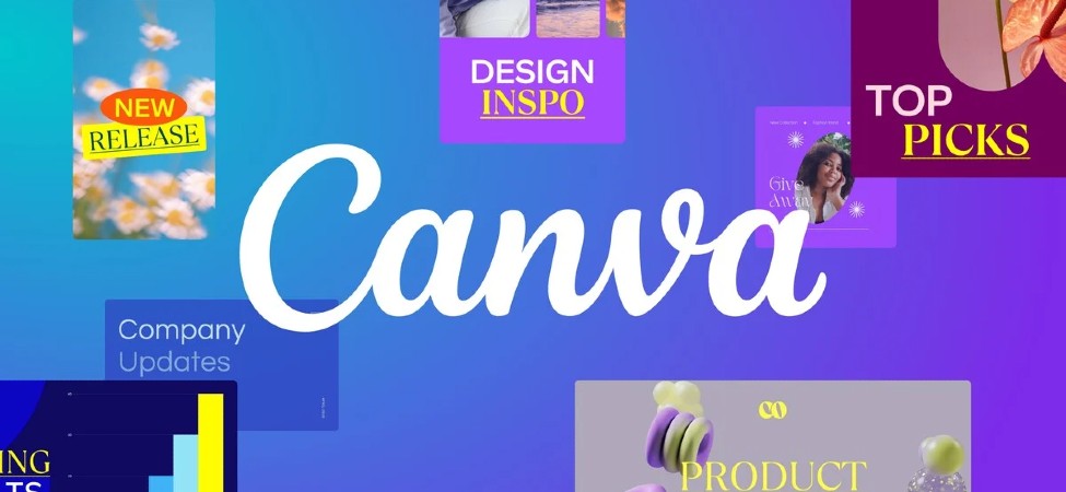 10 Ways To Make Money With Canva Survey Donut